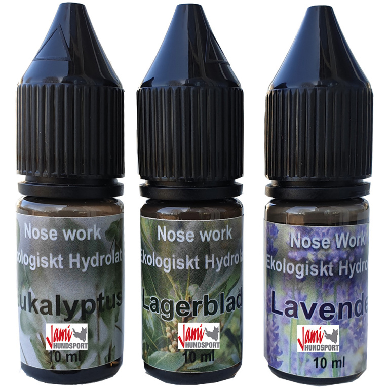 Nose Work Beholder Agern med magnet - Unik Hund